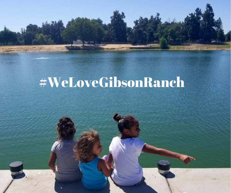 Welcome to Gibson Ranch Park