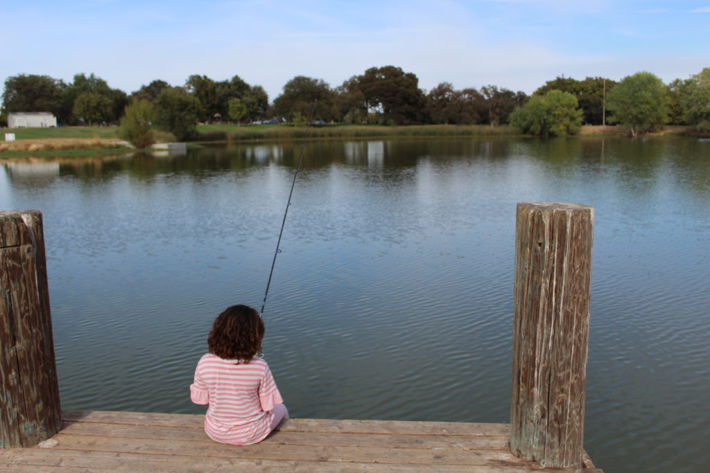 Welcome to Gibson Ranch Park