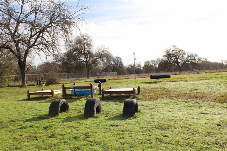 Welcome to Gibson Ranch Park